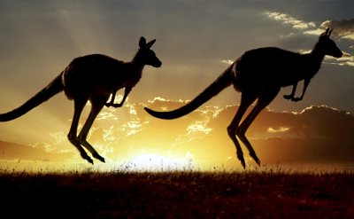 Australia Cruises from California